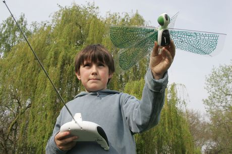 The British Dragonfly Society and toy company Character Options ...