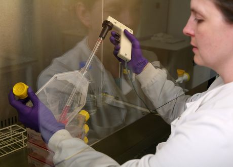 Harefield Hospital, Heart Science Centre, Harefield, Middlesex, Britain ...