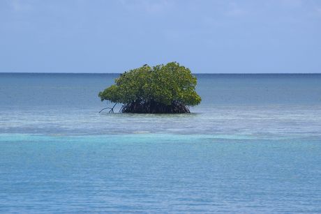 48 Chuuk Stock Pictures, Editorial Images and Stock Photos | Shutterstock