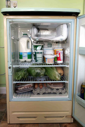 __COUNT__ Sally Garrod with her fifty year old fridge, Rockland All ...
