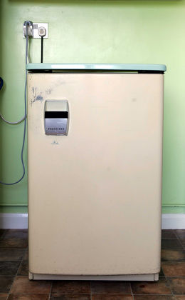 __COUNT__ Sally Garrod with her fifty year old fridge, Rockland All ...