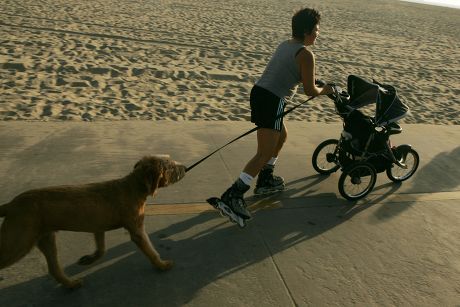 Woman On Rollerblades Her Dog Pushing Editorial Stock Photo - Stock ...