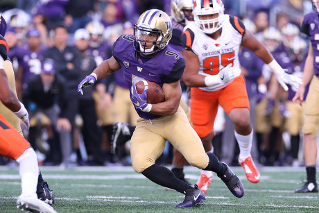 NCAA FOOTBALL Oregon State vs Washington, Seattle, USA - 22 Oct 2016 ...