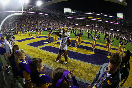Lsu Mascot Mike Tiger During Game Editorial Stock Photo - Stock Image ...