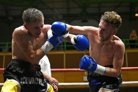 Goodwin Boxing Devon Show, Boxing, Riviera International Centre ...