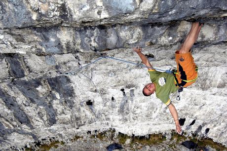 11 Hanging by toes Stock Pictures, Editorial Images and Stock Photos ...