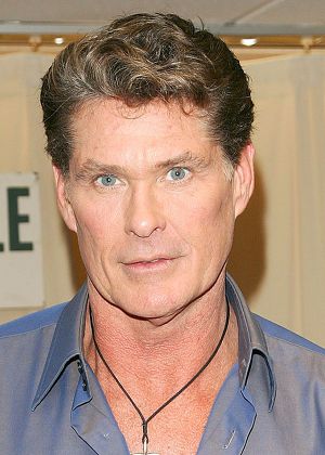 David Hasselhoff Editorial Stock Photo - Stock Image | Shutterstock