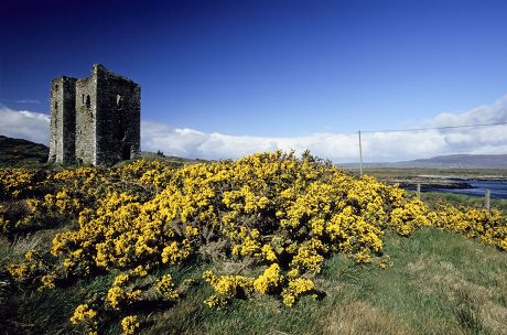 Dunmanus Tower Dunmanus Bay One Irelands Editorial Stock Photo - Stock ...