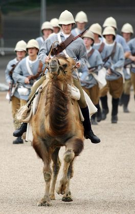 66 Camel cavalry Stock Pictures, Editorial Images and Stock Photos ...