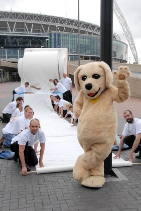 Andrex Puppy Man Celebrates Roll That Editorial Stock Photo - Stock ...