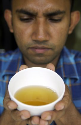 Chaminda Jayawardene Lumbini Tea Estate Drinks Editorial Stock Photo ...