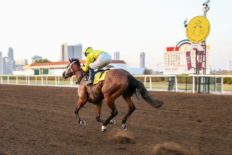 Fast Enough Patrick Dobbs Trained By Editorial Stock Photo - Stock ...