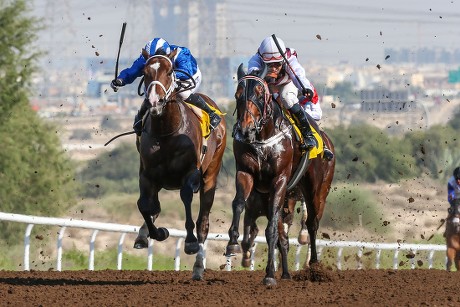 Horse Racing from Jebel Ali, United Arab Emirates - 28 Oct 2016 Stock ...