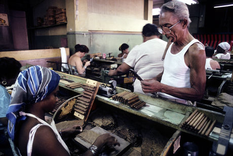 Workers Cigar Production Upmann Cigar Factory Editorial Stock Photo ...