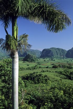__COUNT__ Cuba, Caribbean Stockbilder, redaktionelle Bilder und ...