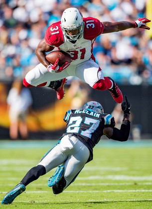 __COUNT__ NFL Cardinals vs Panthers, Charlotte, USA - 30 Oct 2016 Stock ...