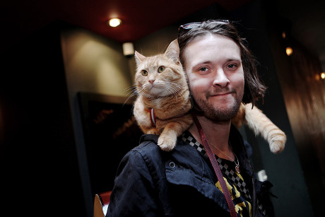 James Bowen His Cat Bob On Editorial Stock Photo - Stock Image ...