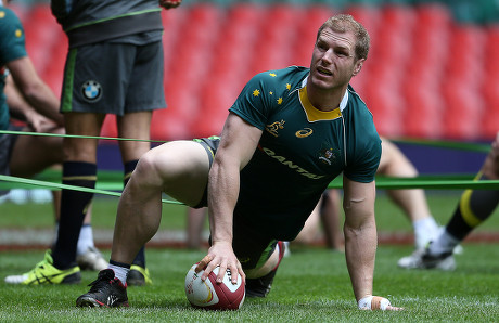 __COUNT__ Australia Rugby Captains Run - 04 Nov 2016 Stock Pictures ...