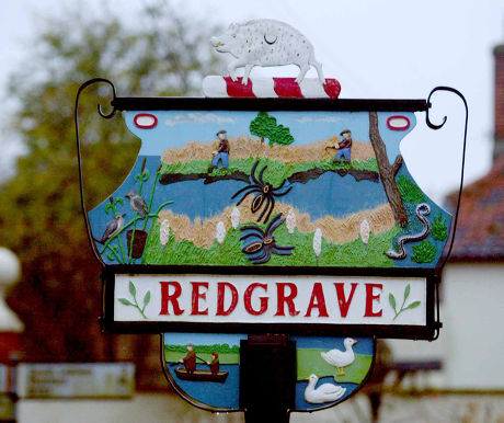 Bird Flu case discovered, Redgrave Park Farm, Suffolk, Britain - 13 Nov ...