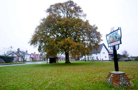 Bird Flu case discovered, Redgrave Park Farm, Suffolk, Britain - 13 Nov ...