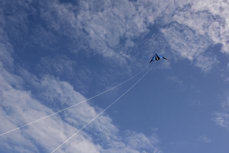 Kite Flying California America Editorial Stock Photo - Stock Image ...