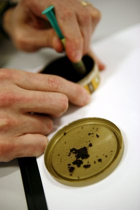 Man Takes Snuss Snus Snuff Type Editorial Stock Photo - Stock Image ...