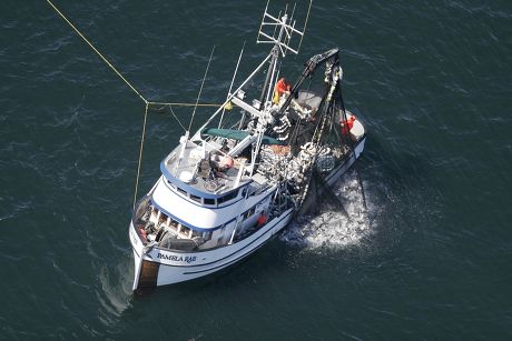 Aerial View Purse Seiner Fishery Salmon Editorial Stock Photo - Stock ...