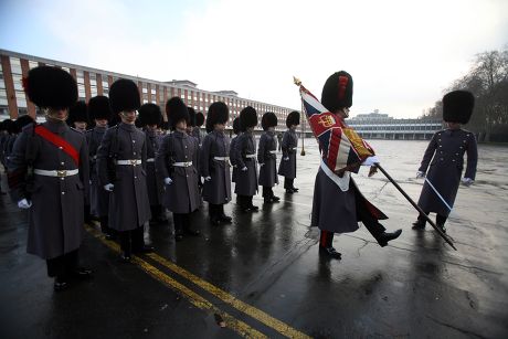 Members Coldstream Guards On Parade Ground Editorial Stock Photo ...