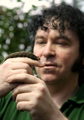 Keeper Mark Tansley Counting Stock Butterfly Editorial Stock Photo ...