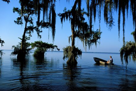 The Cajun Country, Louisiana, America - 2007 Stock Pictures, Editorial ...