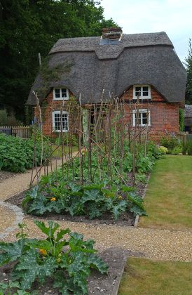 Country Cottage Garden Complete Thatched Cottage Editorial Stock Photo ...
