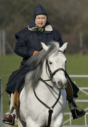 queen elizabeth ii animals Stock Photos (Exclusive) | Shutterstock
