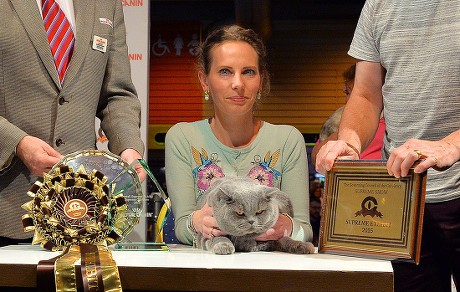 Supreme Cat Show National Exhibition Centre Editorial Stock Photo ...