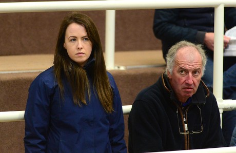 Tattersalls November Nh Sale David Magnier Editorial Stock Photo ...