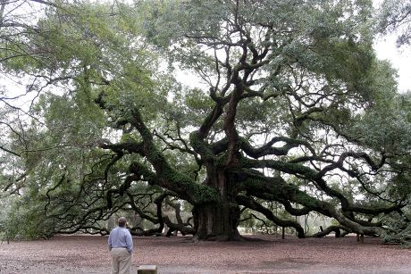 Statue Middleton Place Former Plantation Us Editorial Stock Photo ...