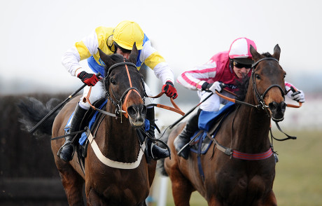 Horse Racing Higos Racing Festival Wincanton Editorial Stock Photo ...