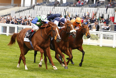 Horse Racing Ascot Races John Guest Editorial Stock Photo - Stock Image ...