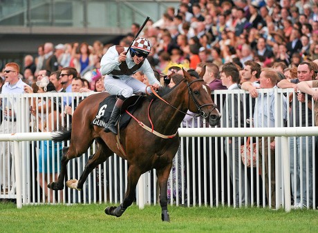 28 July 2011 Jockey Derek Oconnor Editorial Stock Photo - Stock Image ...