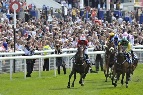 Horse Racing Ebor Festival York Racecourse Editorial Stock Photo ...