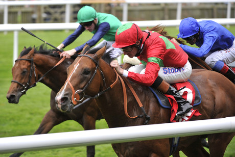 Newmarket Races July Meeting Day Three Editorial Stock Photo - Stock ...