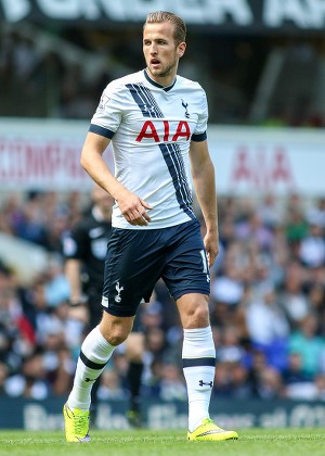 Football 2014 2015 Premier League Tottenham Editorial Stock Photo ...