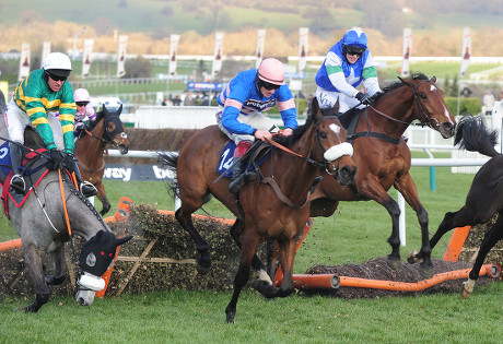 Horse Racing 2016 Cheltenham Festival Wednesday Editorial Stock Photo ...