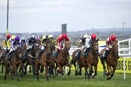 Horse Racing 2016 Grand National Festival Editorial Stock Photo - Stock ...