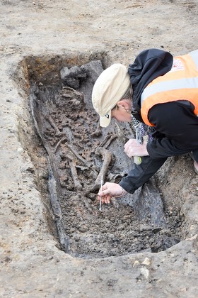 Archaeologist Carefully Excavates Anglosaxon Human Remains Editorial ...