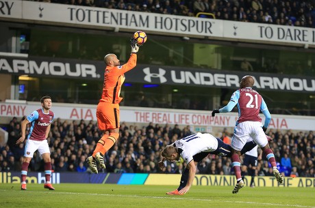 Harry Kane Tottenham Hotspur Appears Be Editorial Stock Photo - Stock ...