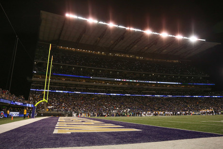 Husky Fans Use Their Cell Phones Editorial Stock Photo - Stock Image ...