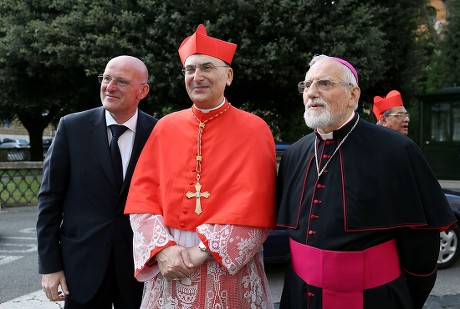 Ordinary Public Consistory Presided By Pope Editorial Stock Photo ...