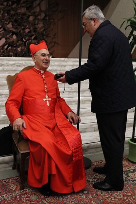 Cardinal Mario Zenari Archbishop Zuglio Italy Editorial Stock Photo ...