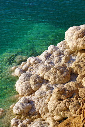 Salt Deposits On Rocky Shoreline Dead Editorial Stock Photo - Stock ...