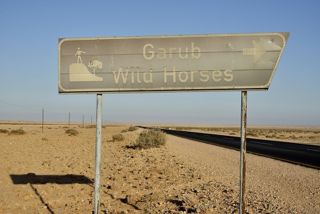 1,000 Desert sign Stock Pictures, Editorial Images and Stock Photos ...